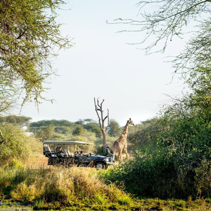 Zimbabwe Luxury Safari - Zimbabwe Vacation Packages | Ker & Downey