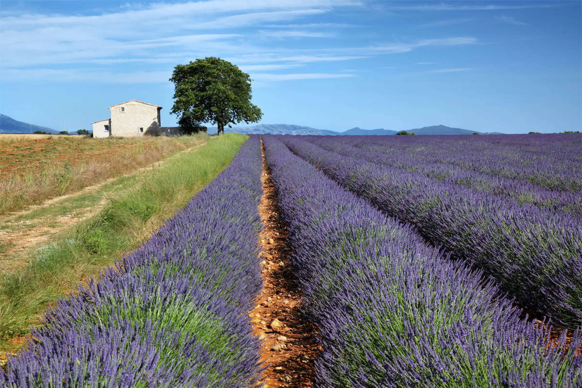 France Luxury Tours to Paris & Provence | Ker & Downey