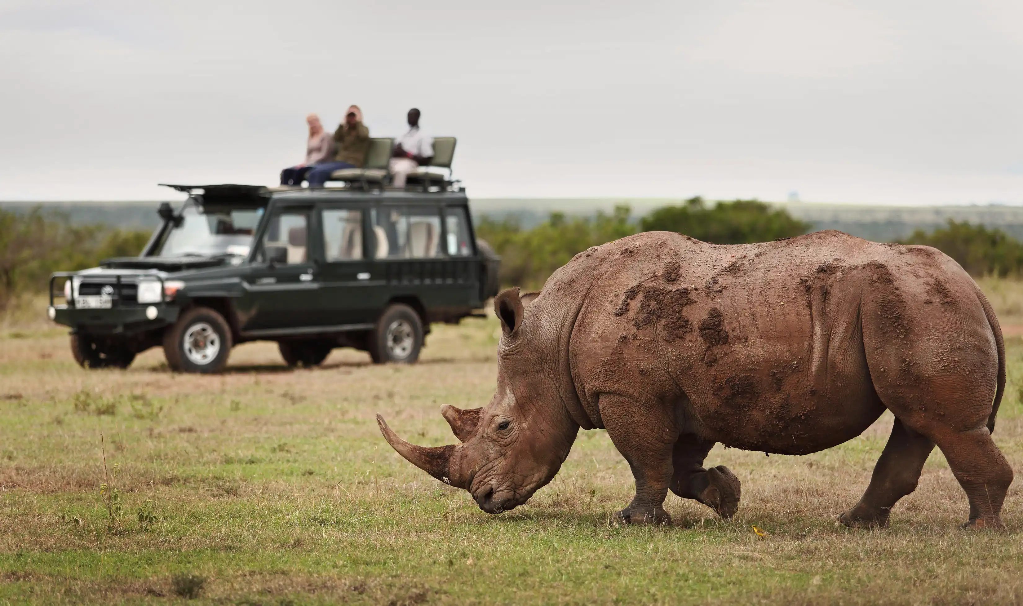 Kenya Family Safari - Luxury Family Safari in Africa | Ker & Downey