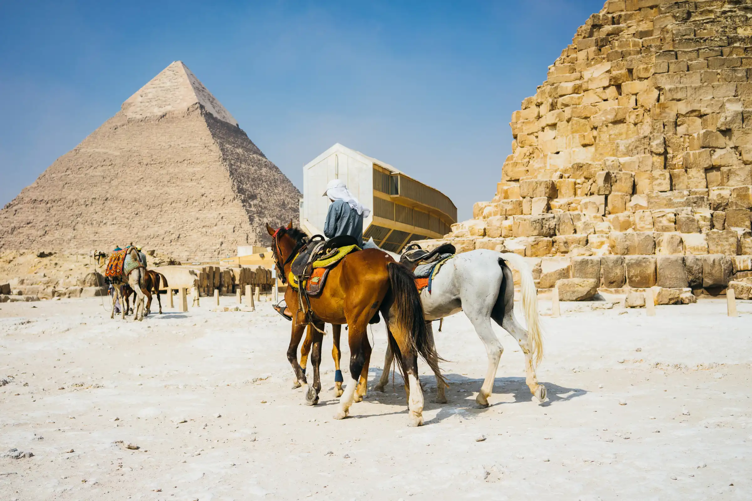 Brooke Egypt Philanthropy | QUEST | Ker & Downey