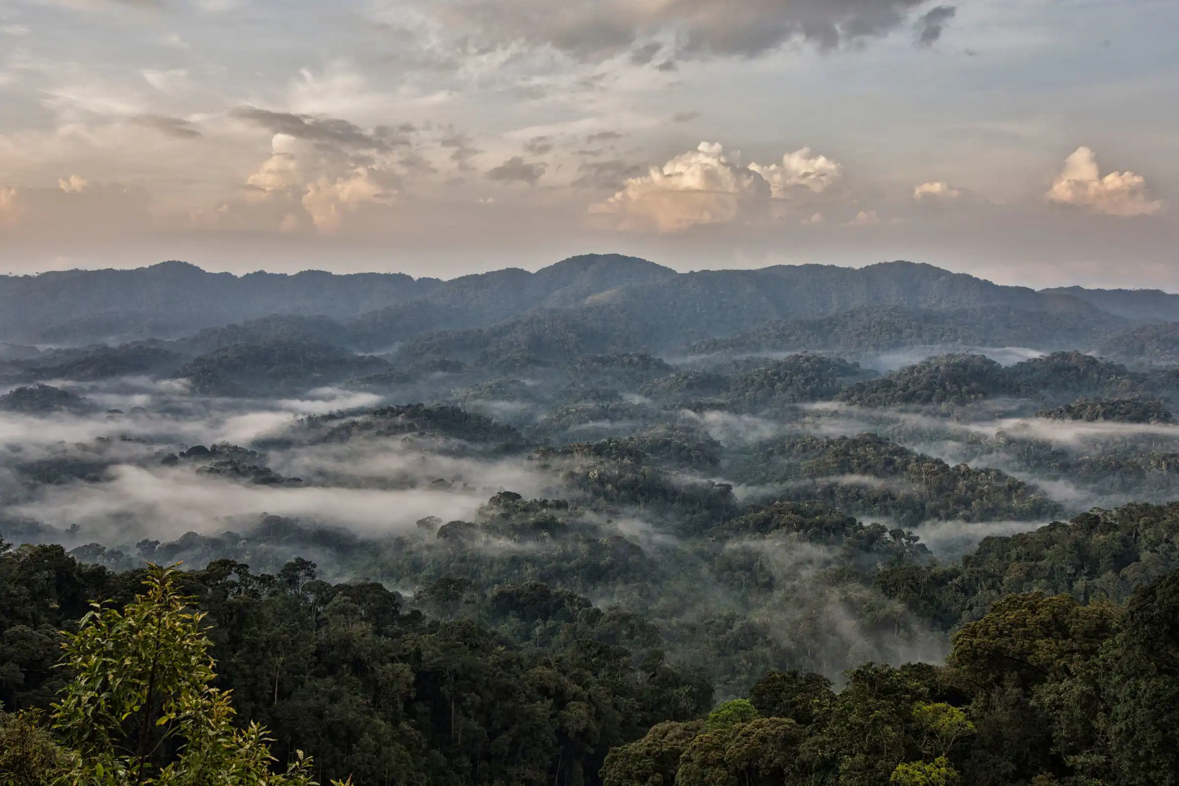 Rwanda Travel - Is Rwanda Safe - Travel to Rwanda | Ker & Downey