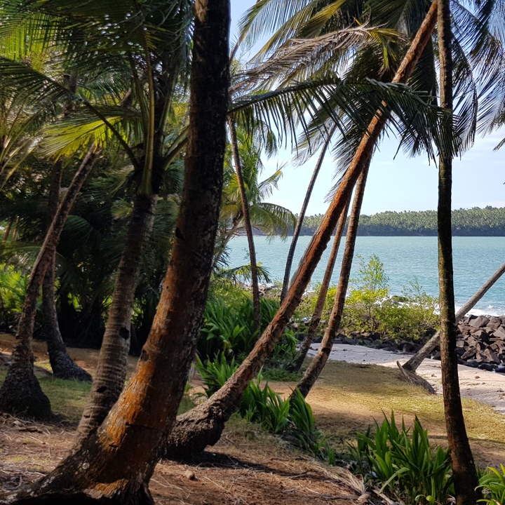 Travel to French Guiana - Private French Guiana Tours