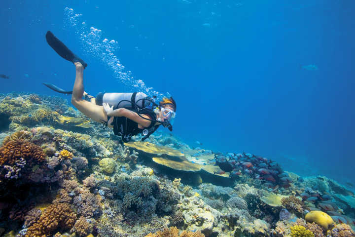 Luxury Travel Australia - Australia Vacation Packages - Ker Downey ...